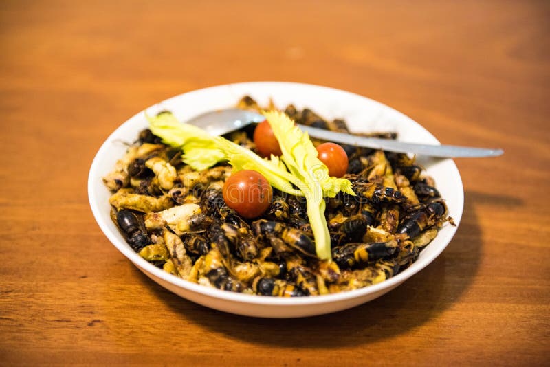 Fried wasp stock image. Image of eyes, paper, nest, hymenopterous ...