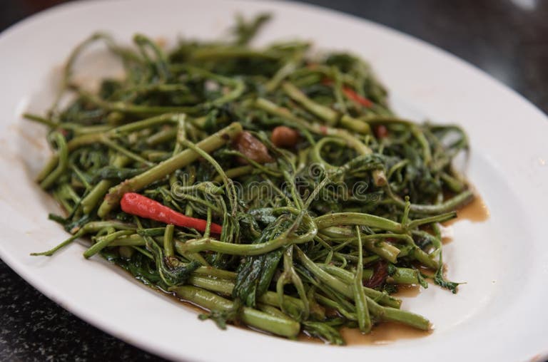 Minosa Illust Stock Photos - Free & Royalty-Free Stock Photos from ...