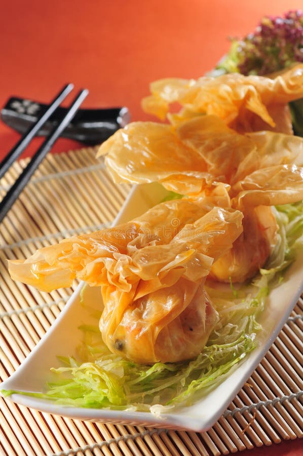 Fried Wonton stock image. Image of closeup, fried, dumpling - 34924527