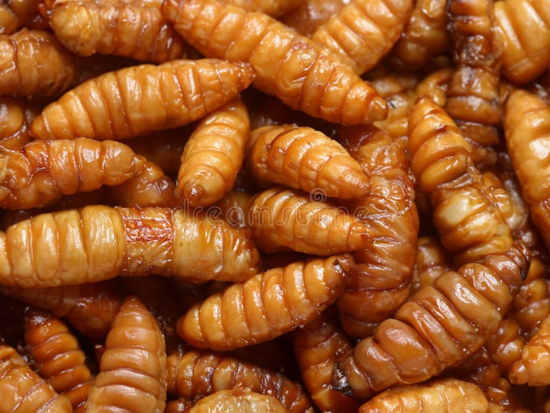 Fried Worm Meat in the Market Stock Photo - Image of isolated, cuisine ...