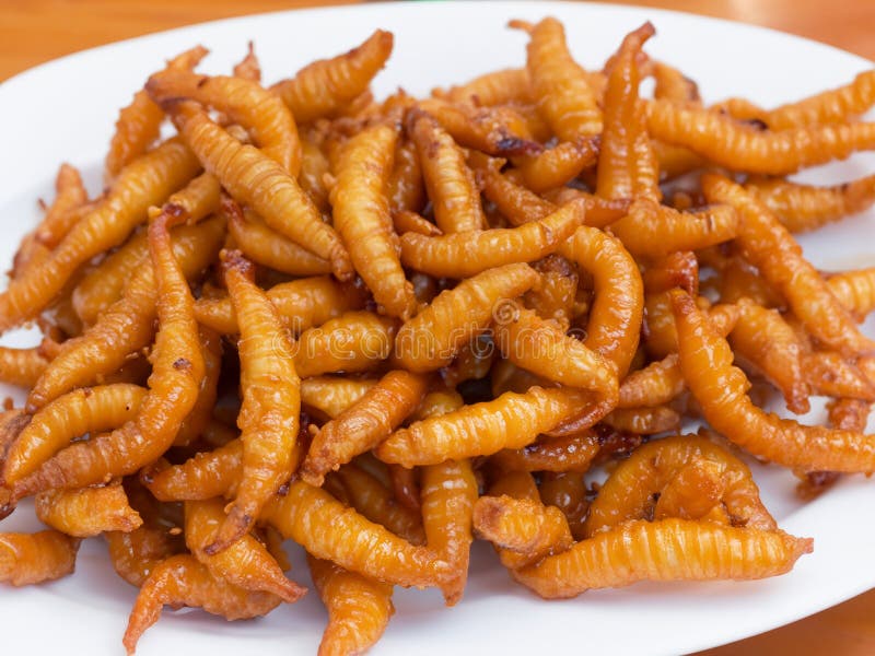 Fried worms in the market stock photo. Image of snack - 342563952