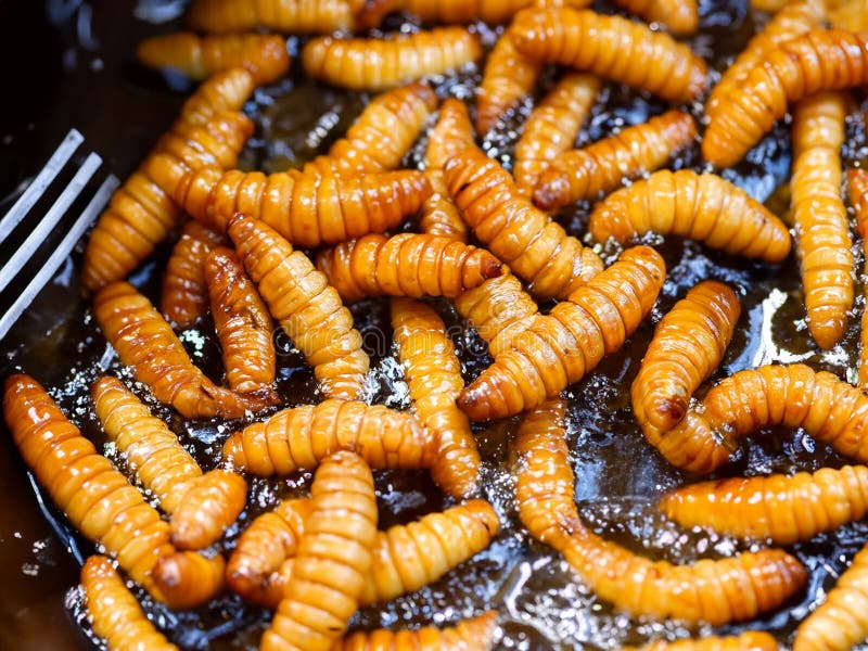 Fried worms in the pan stock image. Image of nutrition - 303666871