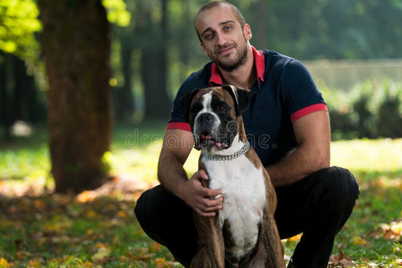 Friendly Dog stock photo. Image of german, boxer, love - 34600812