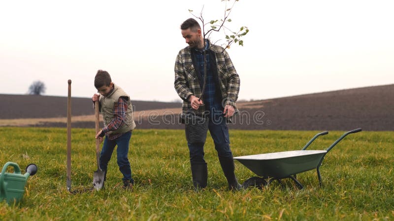The Friendly Family Planting a Tree in the Green Field. Stock Image ...