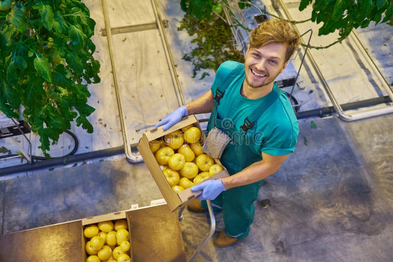 Friendly Farmer at Work in Greenhouse. Stock Photo - Image of friendly ...