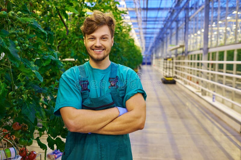 Friendly Farmer at Work in Greenhouse Stock Photo - Image of freshness ...