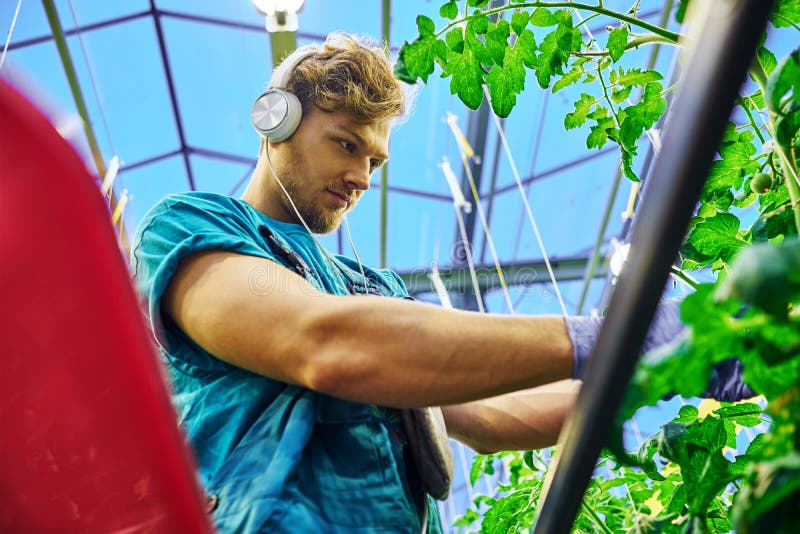 Eco Friendly Farmer Going Green Stock Photo - Image of earth ...