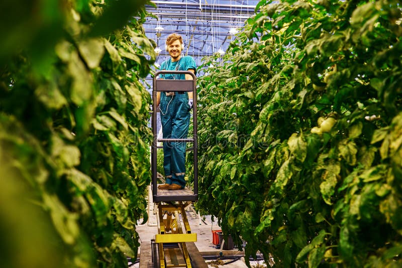 Friendly Farmer Working on Hydraulic Scissors Lift Platform in ...