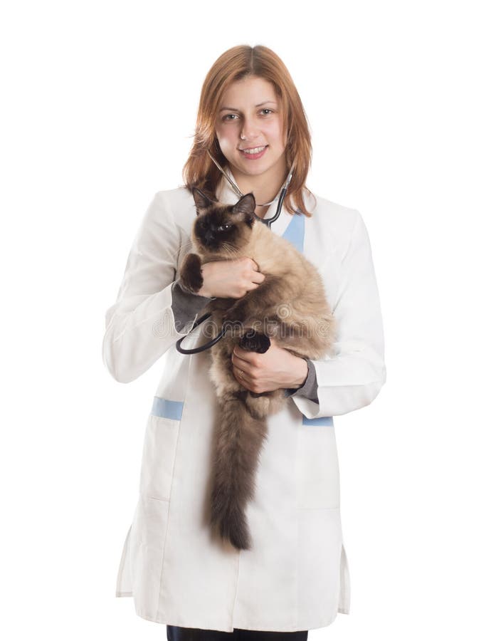 Female veterinary doctor stock image. Image of medicine - 29558497