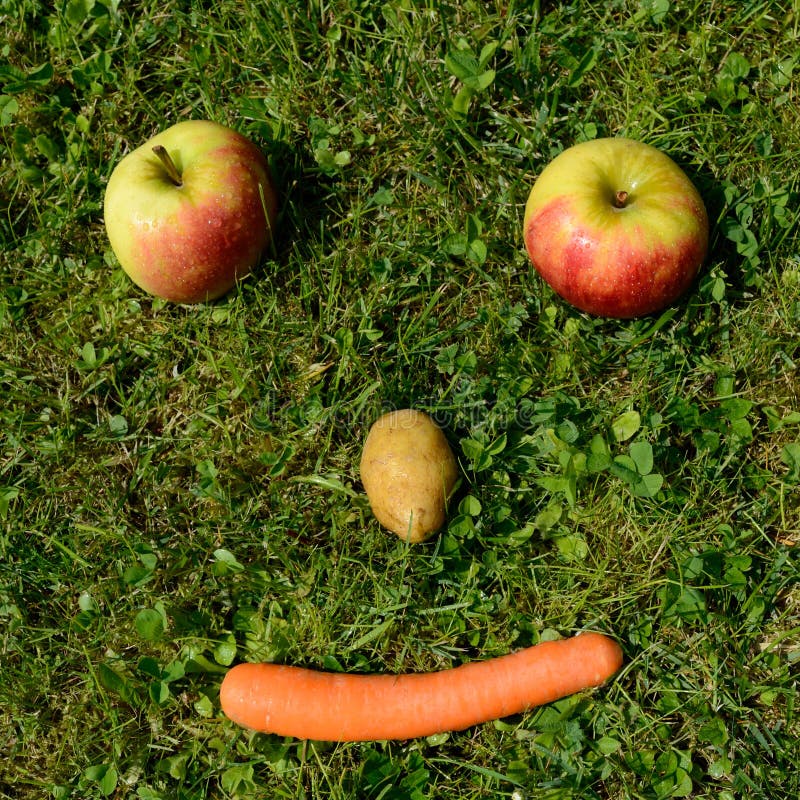 Friendly vegetable face stock photo. Image of nutrient - 79629248