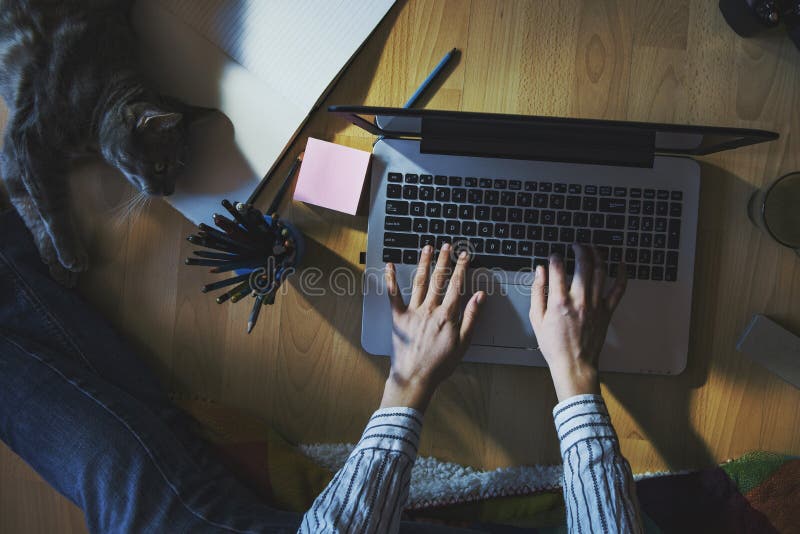 Creative Workspace: Girl Working at the Computer Assisted by Her Stock ...