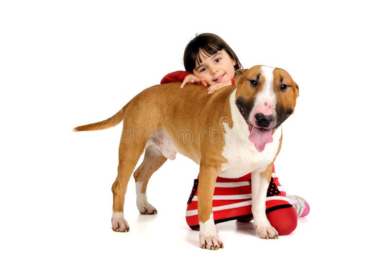 Friends stock image. Image of purebred, bull, love, friend - 29315425