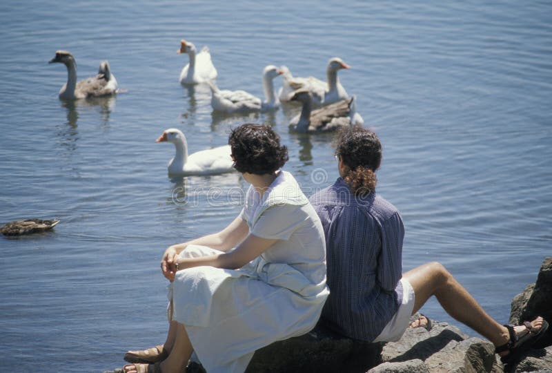 Friends stock image. Image of lake, female, summer, youth - 773275