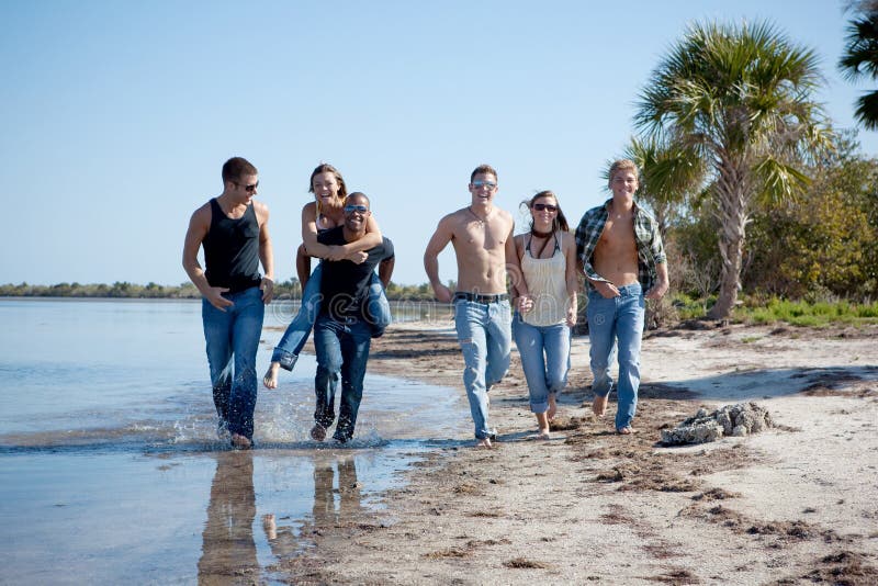 Friends at the beach stock photo. Image of travel, happiness - 9139114