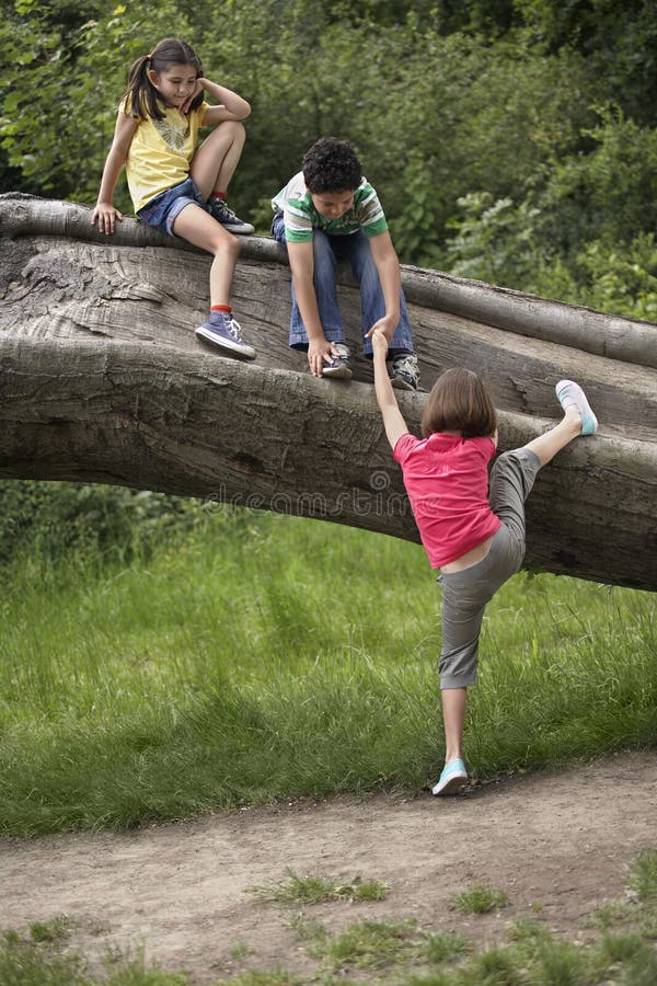 Two Children Helping and Climbing on Tree in Park Stock Image - Image ...