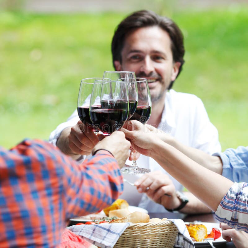 Friends clink glasses stock photo. Image of toast, lunch - 146716220