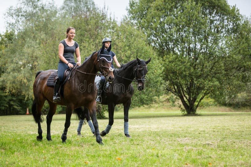 Friends Going For A Ride stock photo. Image of grass - 84271288