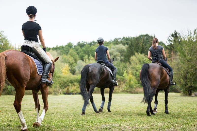 Friends Going for a Ride stock photo. Image of grass - 84271288