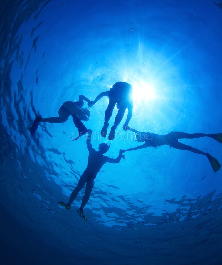 Friends stock photo. Image of healthy, summer, nature - 45876608