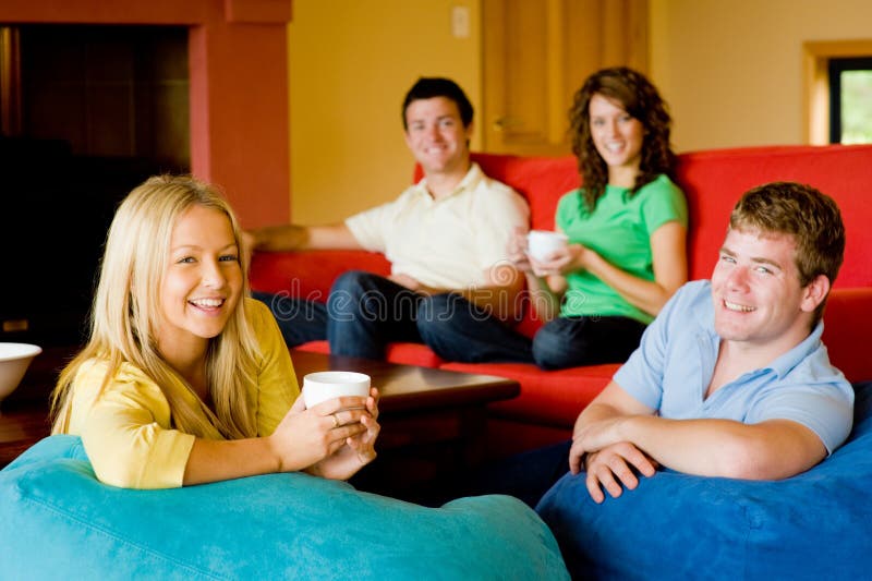 Friends at Home stock photo. Image of holding, inside - 6436042