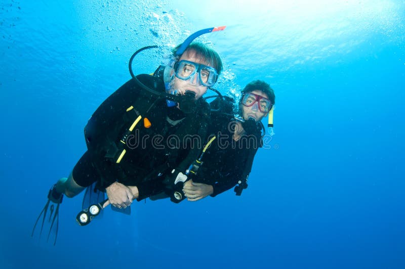 Friends Scuba Dive Togeather Stock Image - Image of coral, gulf: 24557129