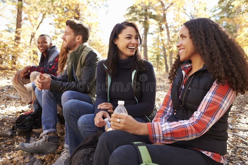 Friends Sit on a Fallen Tree in Forest, Two Women Talking Stock Photo ...