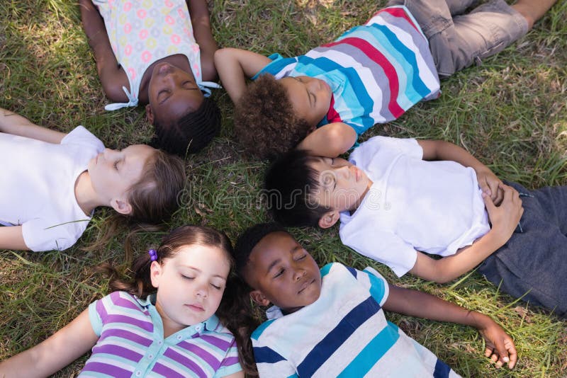 Friends Sleeping on Grassy Field in Forest Stock Image - Image of ...