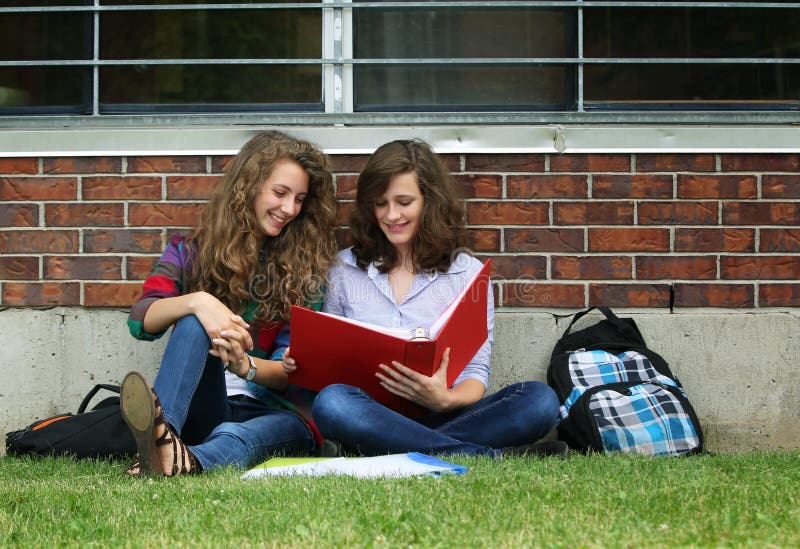 Friends study outside stock image. Image of confident - 27279459