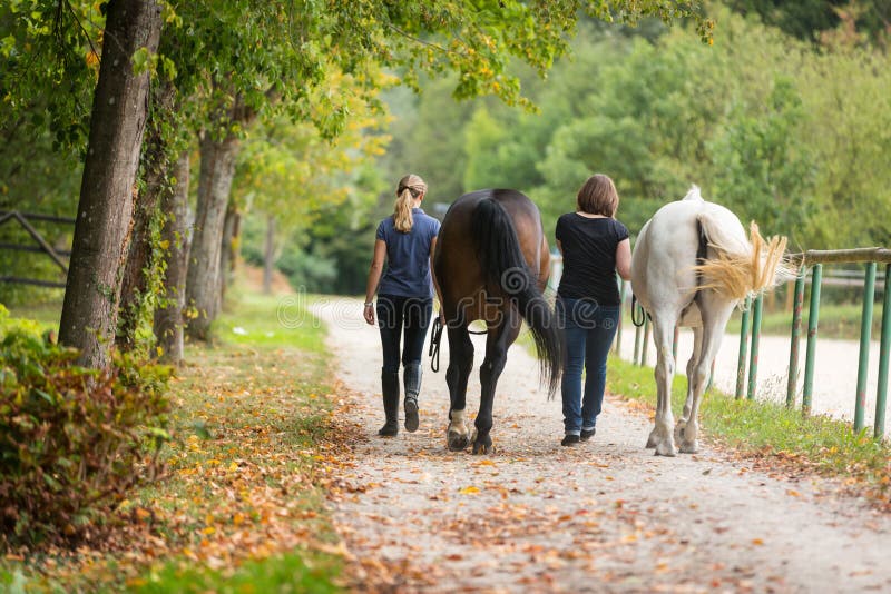 Friends with Their Horses stock image. Image of face - 133668979