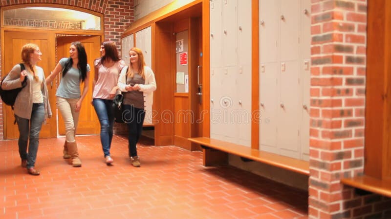 Friends Walking by a Corridor Stock Video - Video of briefcases, campus ...
