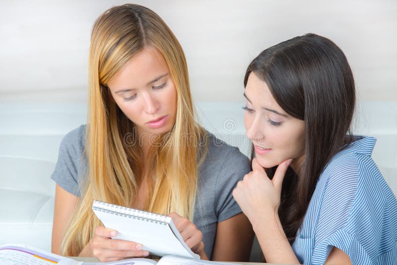 Friends Working Discussion Meeting Sharing Ideas Concept Stock Image ...