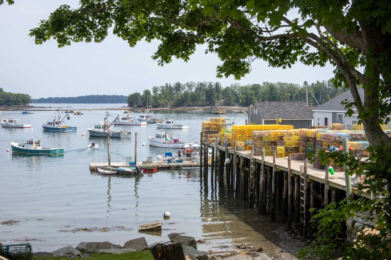 Working lobster harbor editorial photo. Image of united - 327123891
