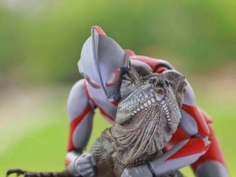 Friendship stock image. Image of toys, ultraman, animal - 136482227