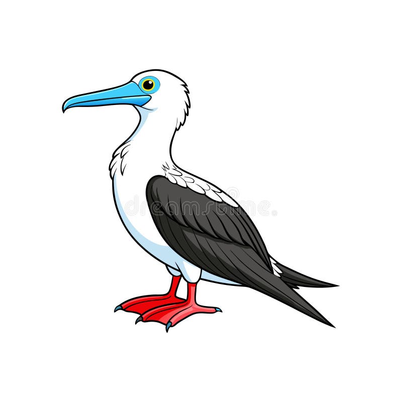 Frigatebird Coloring Page for Kids Stock Illustration - Illustration of ...