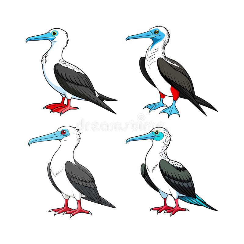 Frigatebird Coloring Page for Kids Stock Vector - Illustration of ...