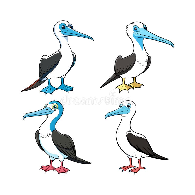 Frigatebird Coloring Page for Kids Stock Vector - Illustration of ...