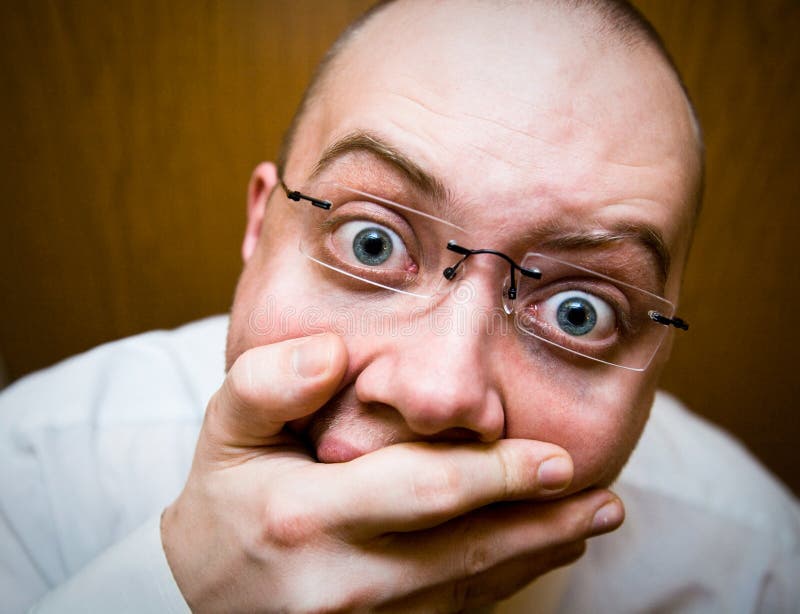 Cat. Fright stock photo. Image of pussycat, emotion, fright - 88611146