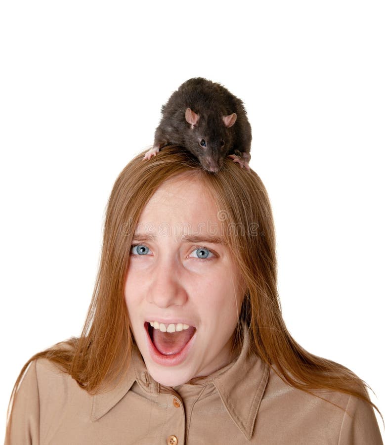 Fright stock image. Image of rodent, animals, black, teeth - 16772879