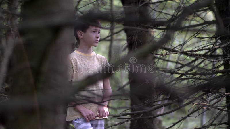 Frightened Boy Walks through a Terrible Dry Forest in the Evening Stock ...