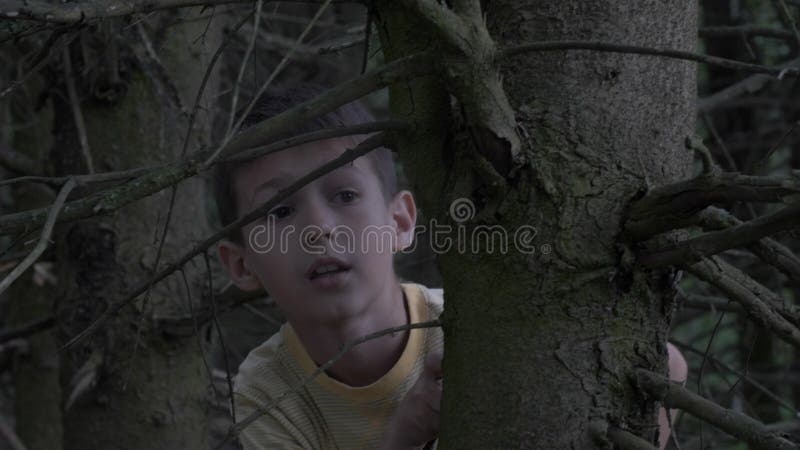 Frightenedboy Stock Photos - Free & Royalty-Free Stock Photos from ...