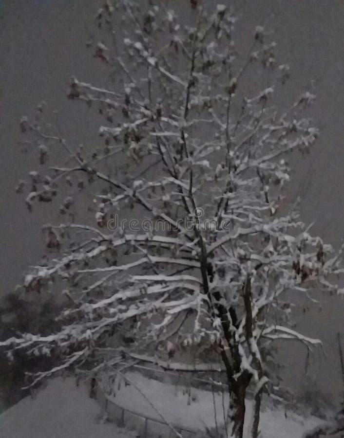 Frightful weather outside stock image. Image of frightful - 141756601