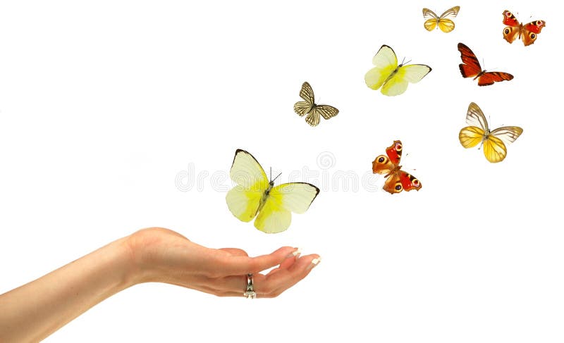 Frihet fotografering för bildbyråer. Bild av hoppas, öppet - 16451069