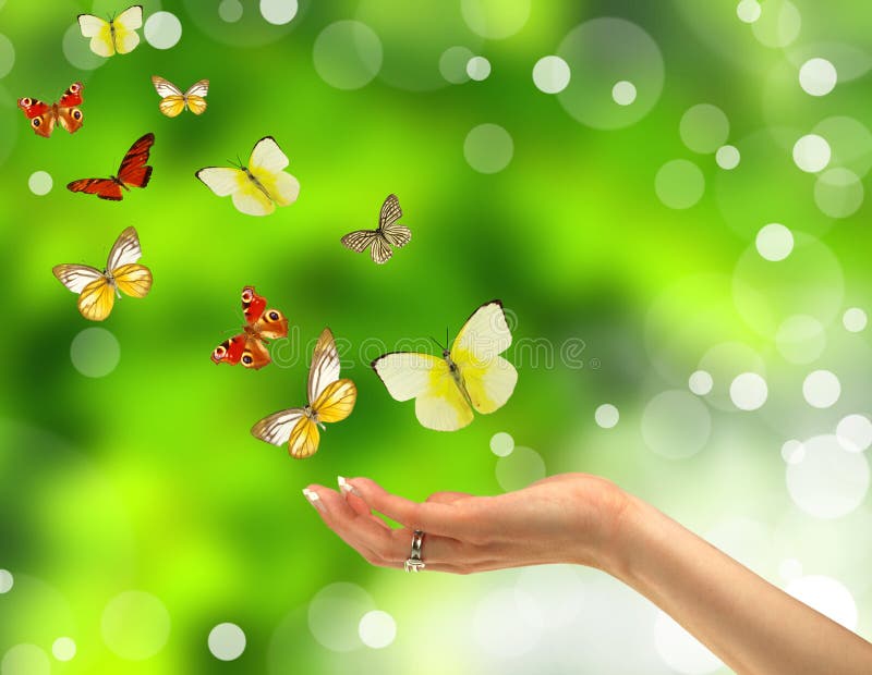 Frihet fotografering för bildbyråer. Bild av hoppas, öppet - 16451069