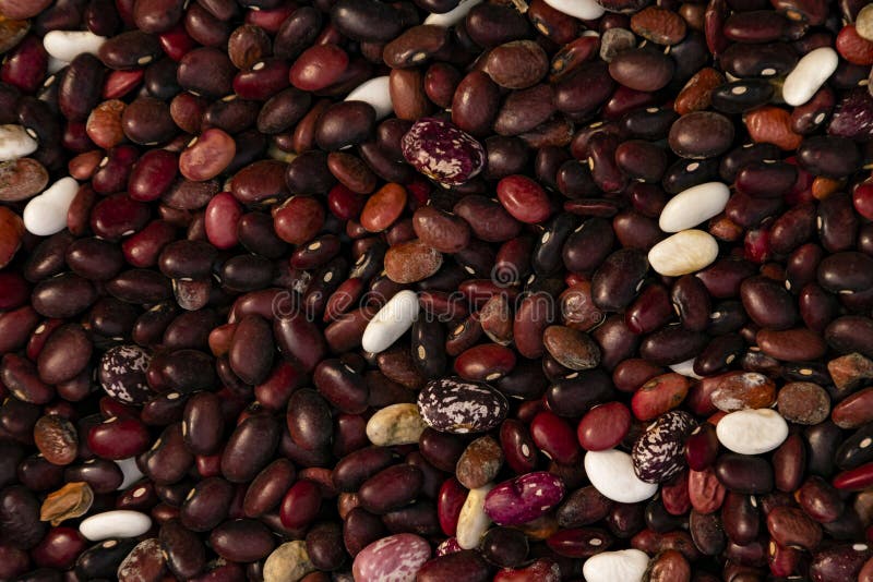 Frijol Frijol Colores Oscuros Top View Cloup Foto de archivo - Imagen ...