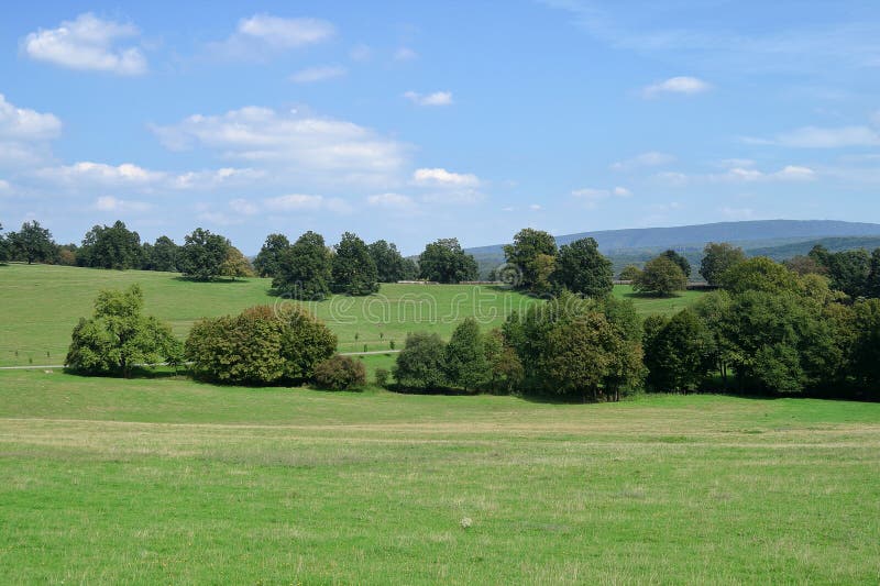 Fringe of the forest stock image. Image of nature, landscape - 320848399