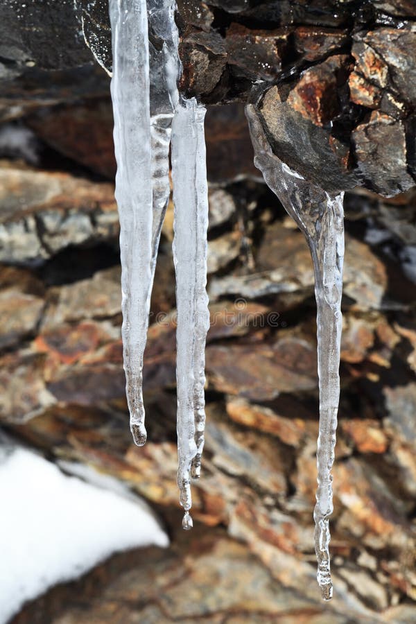 Fringe of ice stock photo. Image of winter, froze, fresh - 22583436