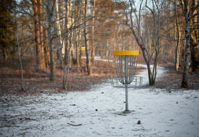 Frisbee Catcher stock photo. Image of white, smiling - 10658056