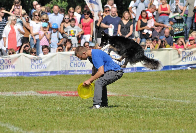 Frisbee competition editorial image. Image of effort - 27022975