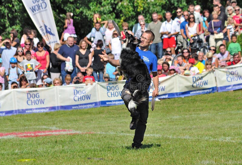 Frisbee competition editorial stock photo. Image of disk - 27022988