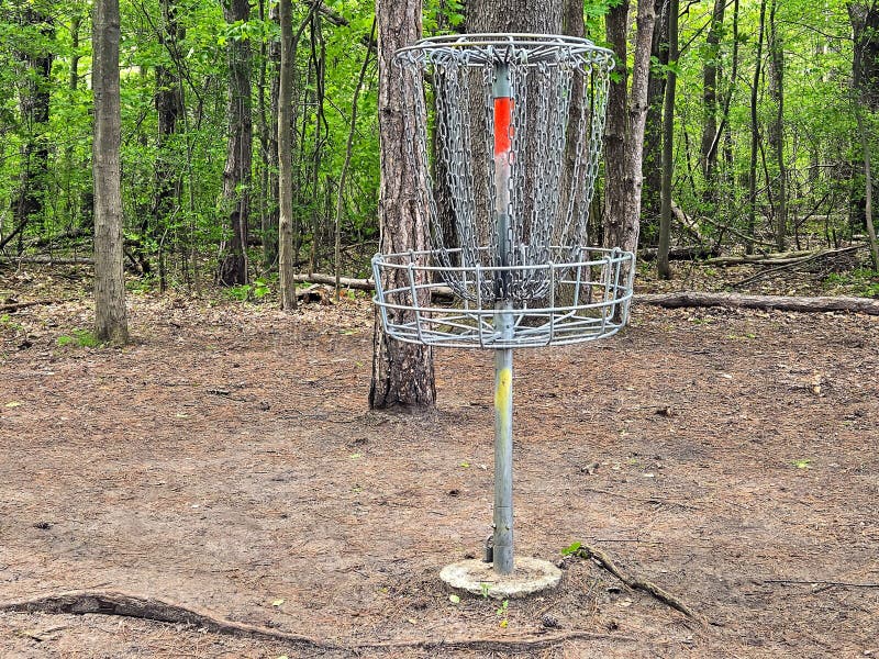 Springtime in the Woods, Saukville Wisconsin Stock Image - Image of ...